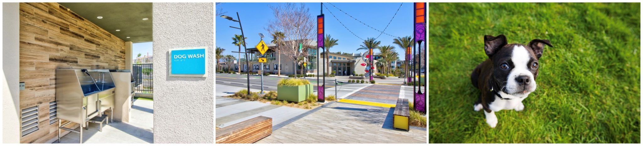 Pup-Friendly Places - The Resort